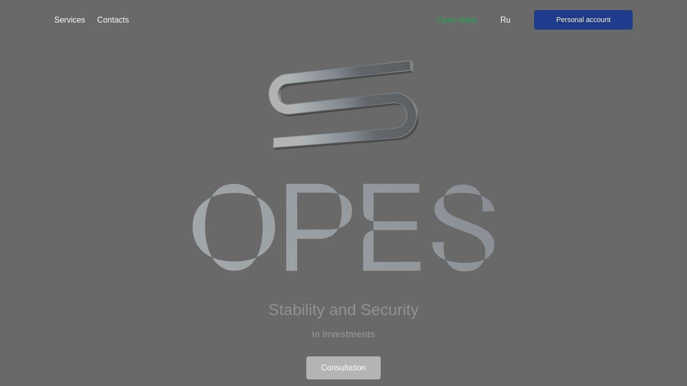 Official website of the company OPES