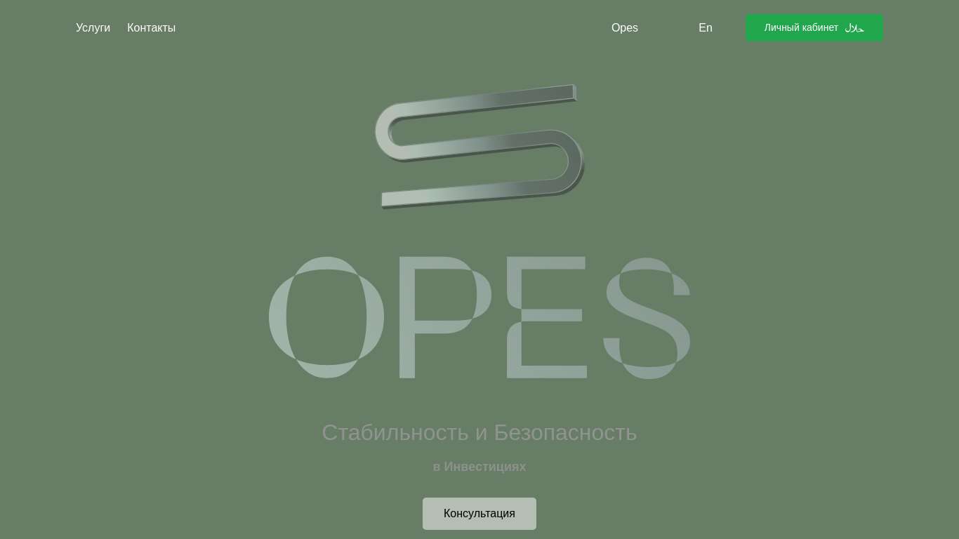 Официальный сайт компании OPES